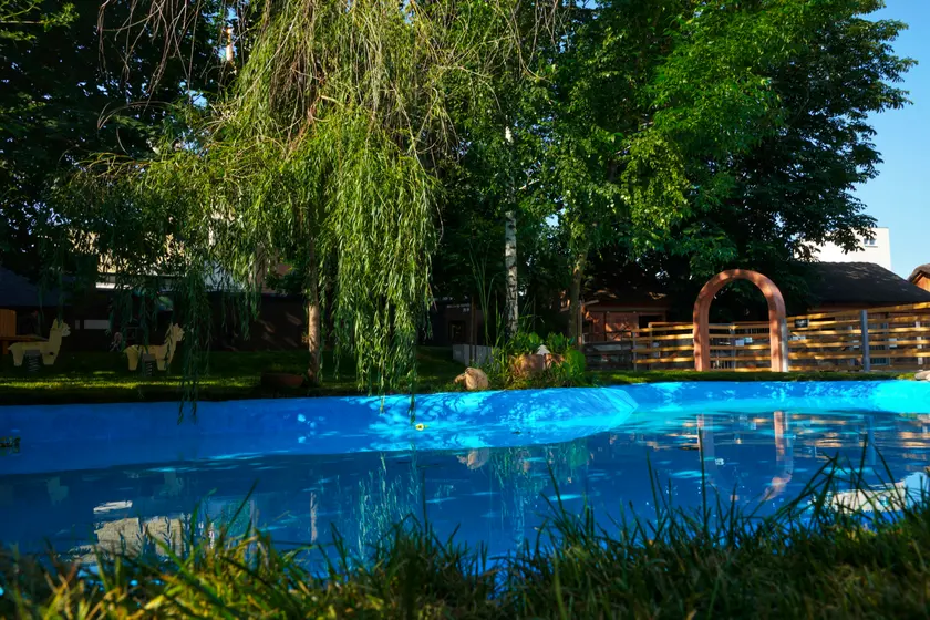 Alpaca Park | Альпака Парк в Московском зоопарке